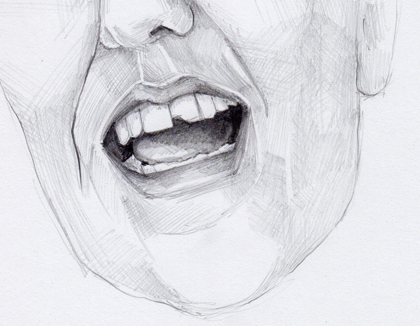 Tooth Sketch
